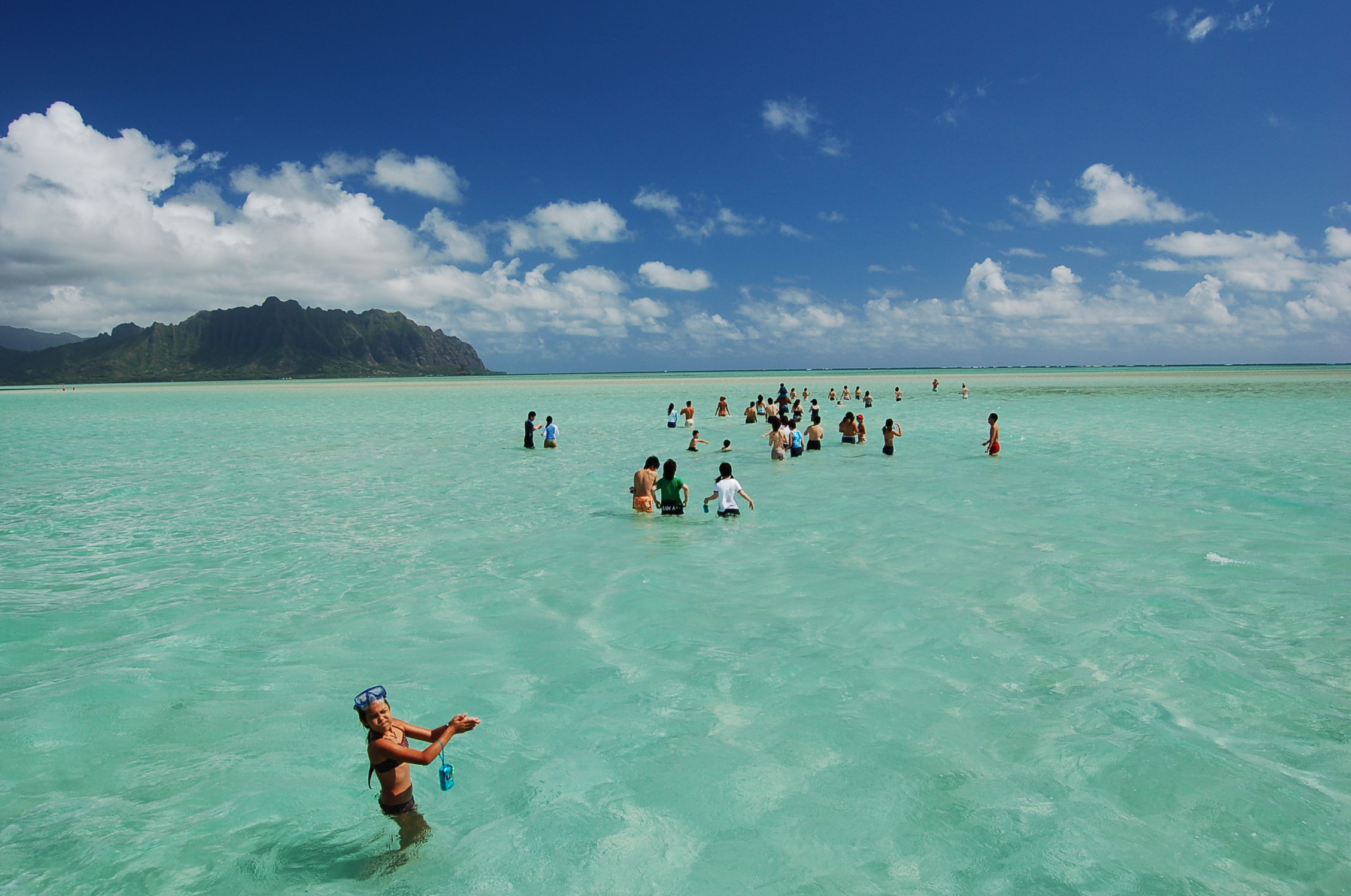 【人気ツアー】キャプテンブルース 天国の海®でハワイの大自然を満喫 | ハワイの最新情報をお届け！LaniLani