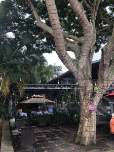 ホルアロアの街の穴場カフェ、ホルアコア・ガーデンズ／Holuakoa Gardens | ハワイの最新情報をお届け！LaniLani