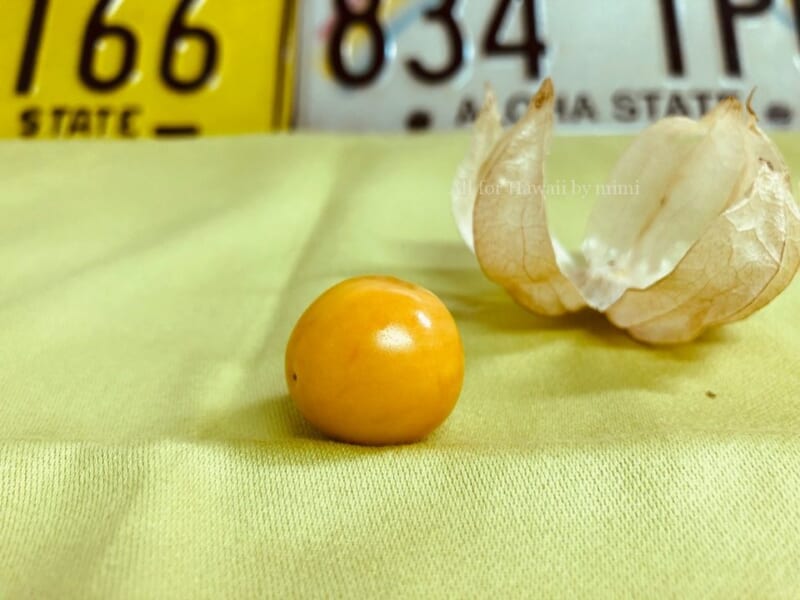 次回のハワイで絶対買いたい！「poha jam／ポハジャム」のpohaとは・・・ | ハワイの最新情報をお届け！LaniLani